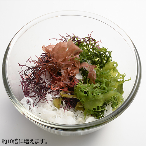 海藻サラダ / 50g | 和食材,和食材(海産・農産乾物),海藻類 | 通販 TOMIZ 富澤商店