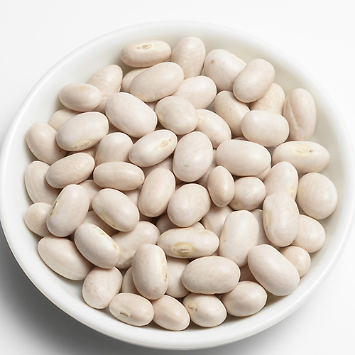 北海道産 手亡いんげん豆 / 500g | 特集,オンラインショップ企画,新豆情報 | 通販 TOMIZ 富澤商店